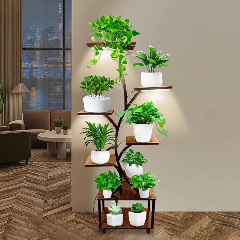 Homegroove Cat Wheel - Official Website